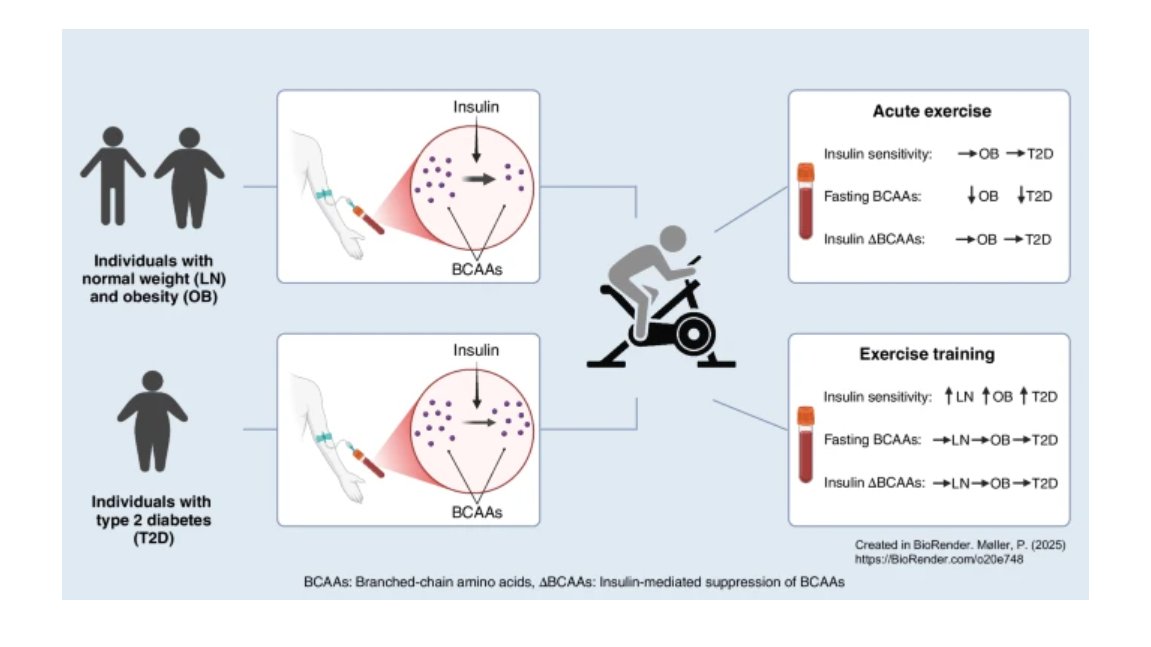 New EASD-ADA consensus guidelines on managing hyperglycaemia in type 2 ...