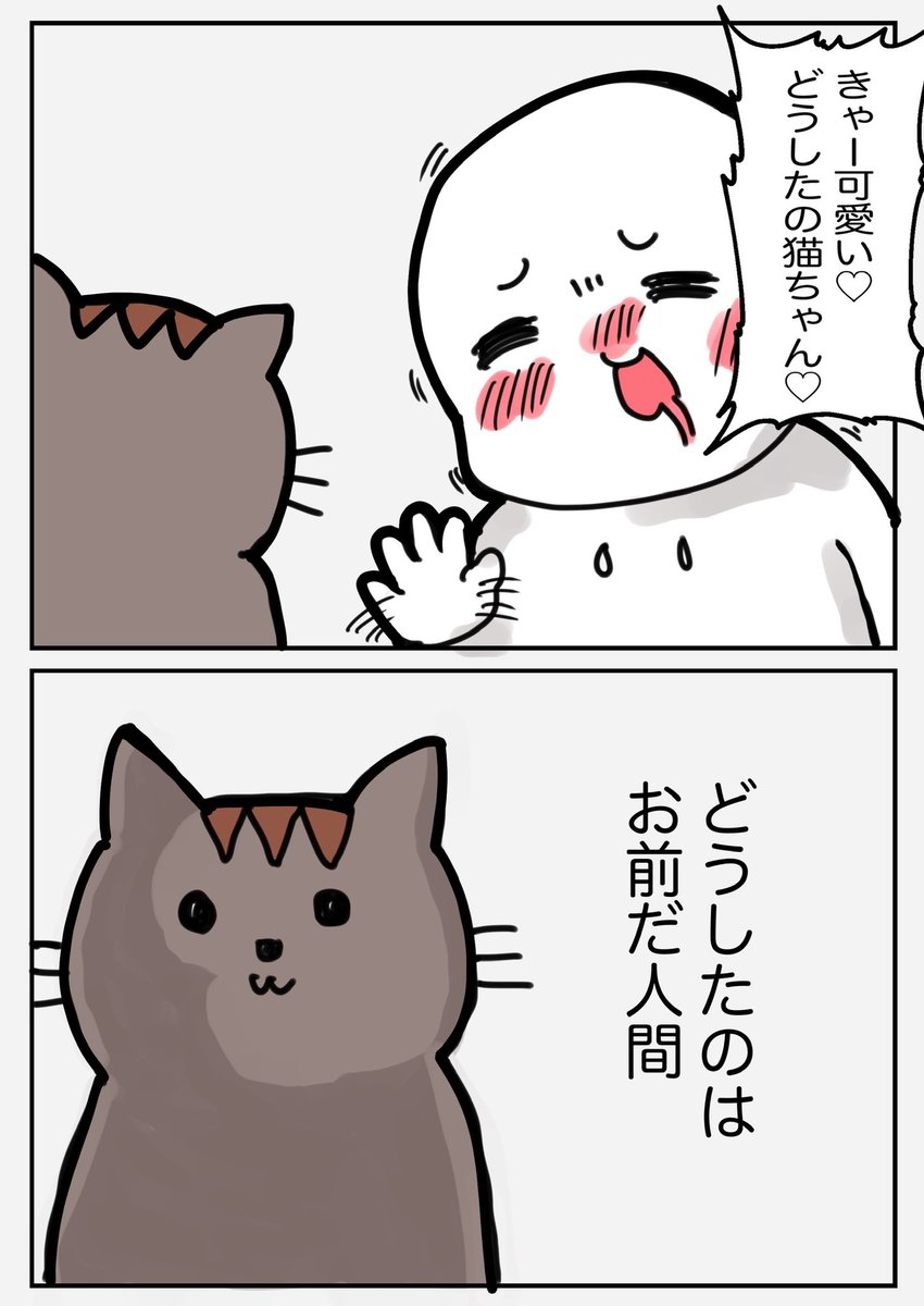 「after the race🌸 #umamusume #haruurara 」メタこ@C106(土)西お-04bの漫画