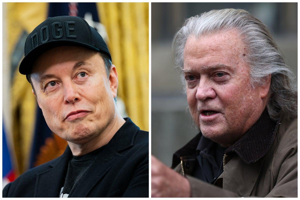 Elon Musk Says Steve Bannon Is Going Back to Prison "For a Long Time ...