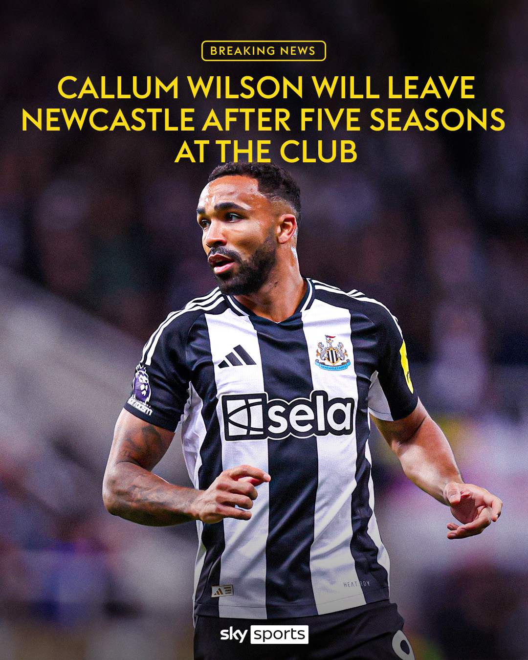 Will Wilson The Following