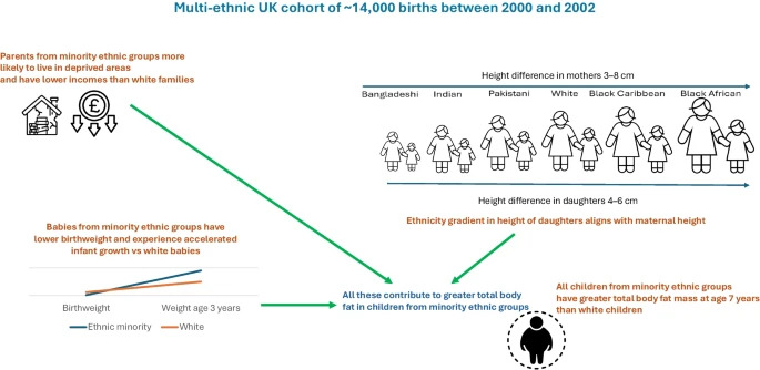 New EASD-ADA consensus guidelines on managing hyperglycaemia in type 2 ...