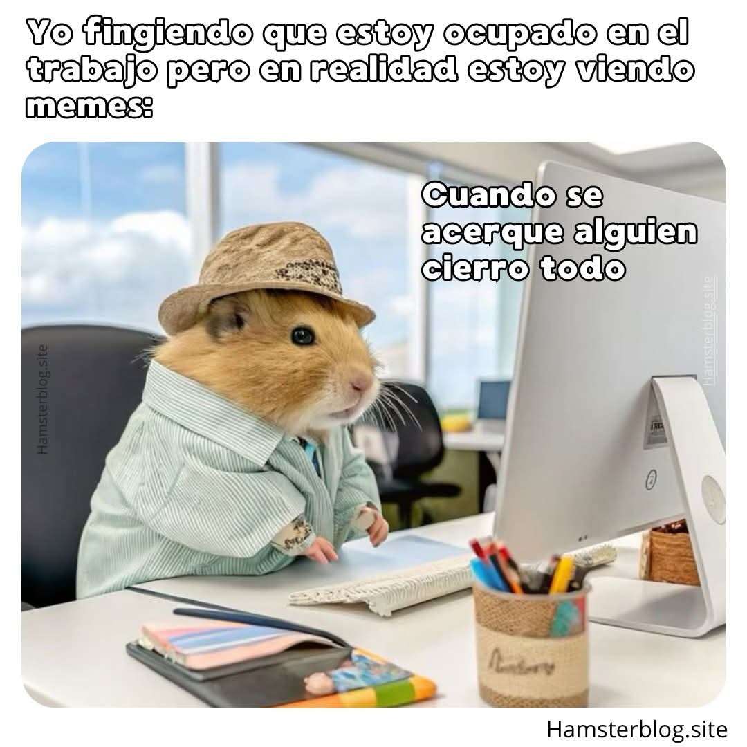 Memes De Cuy