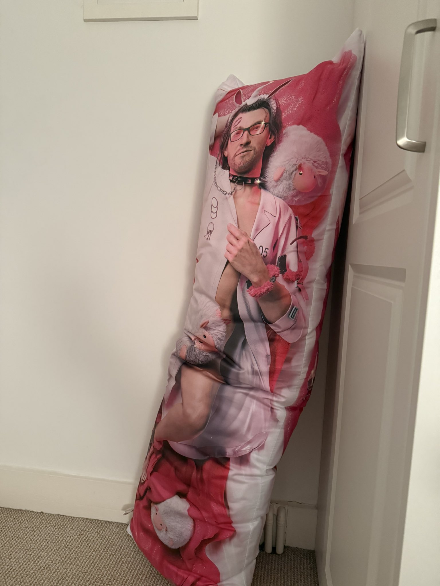 Celebrity Body Pillow 60 Photos - Moonagedaydream.film