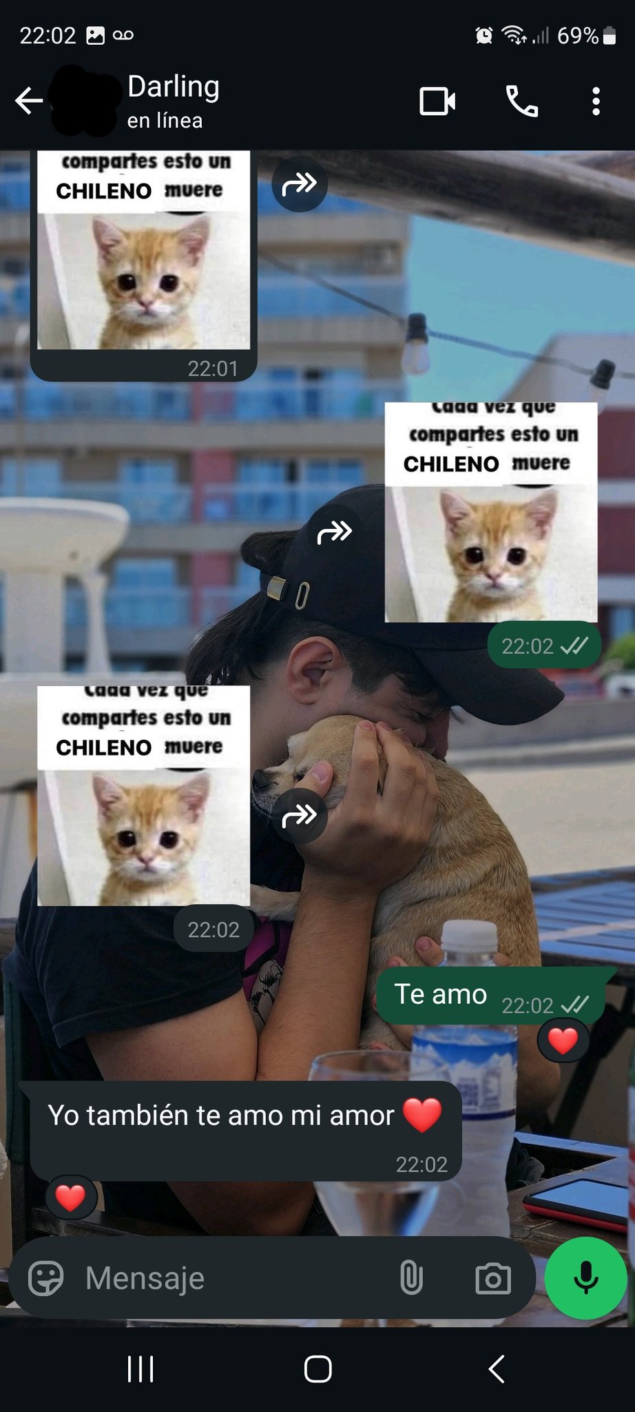 Te Amo Animal Meme
