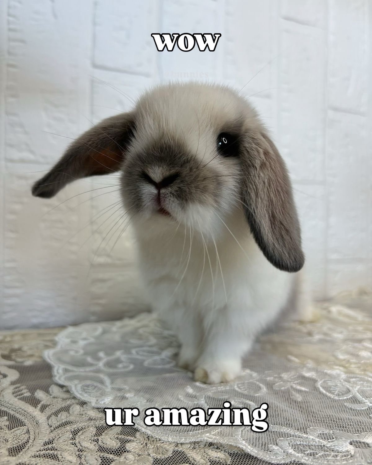 Lops Memes Talking About Selen's Termination | Reacting To /vt/ Via