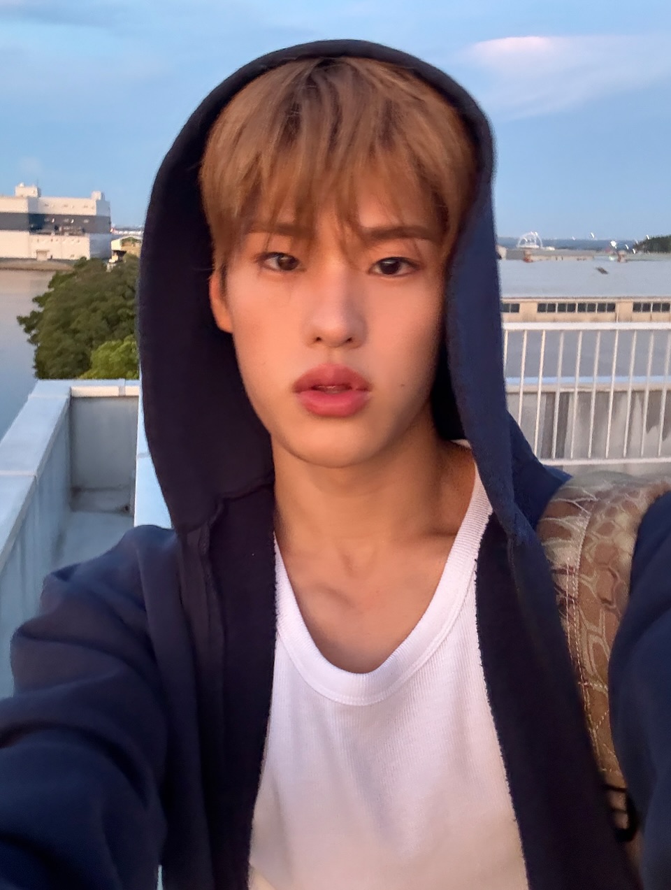 라이즈 ㄹㅇ느좋이다....... - 인스티즈(instiz) 연예 카테고리