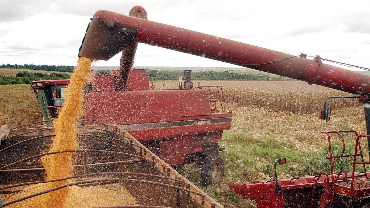 Sputnik Brasil's Threads – Thread Reader App