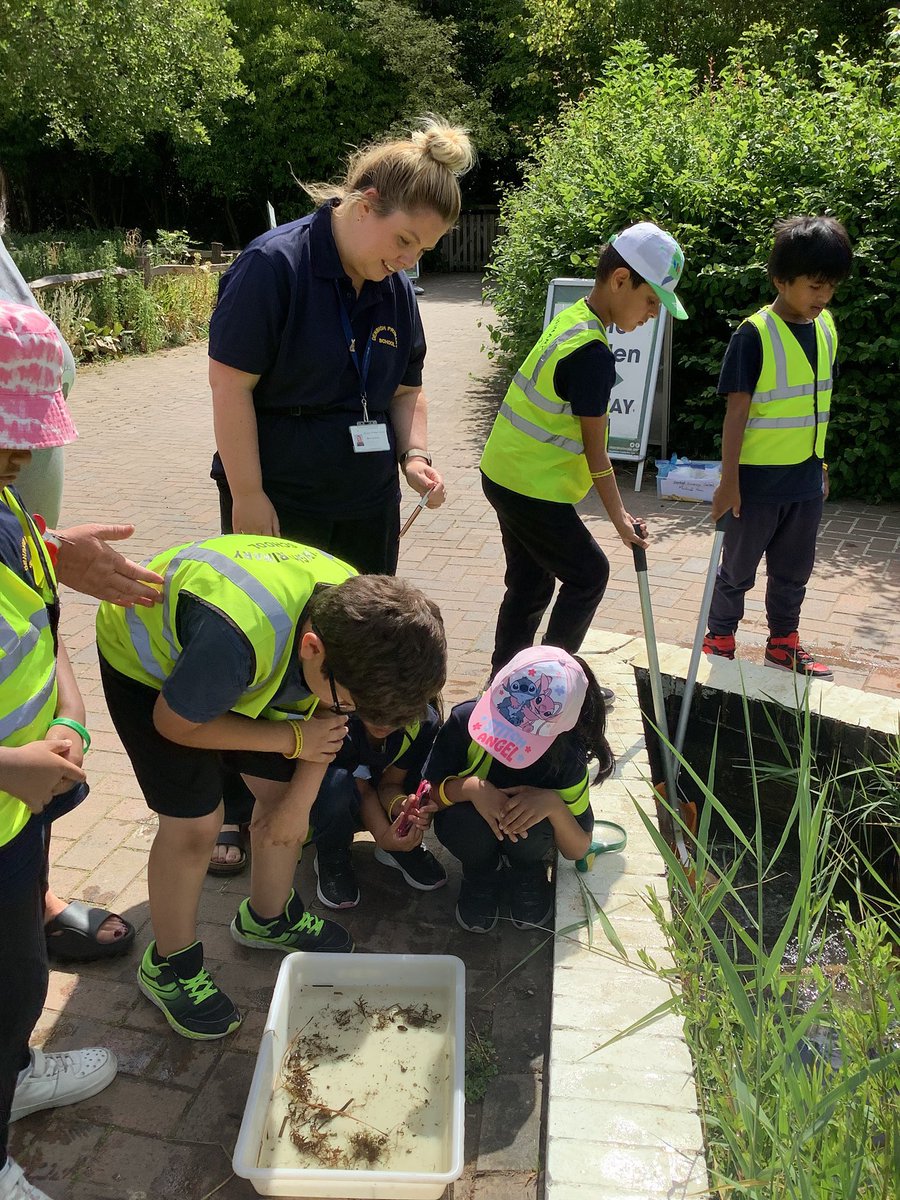 Denbigh | Primary School