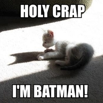 Holy Batman Meme