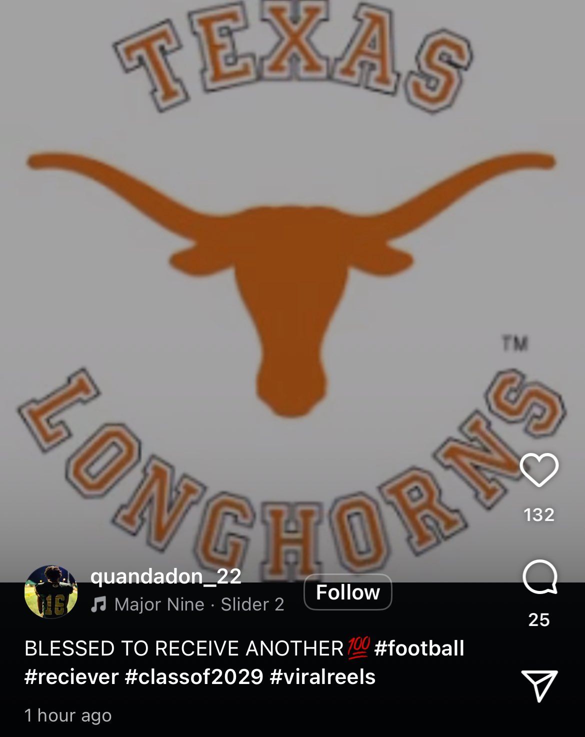 Texas Longhorn Quotes Texas Longhorn Cattle Management Tips