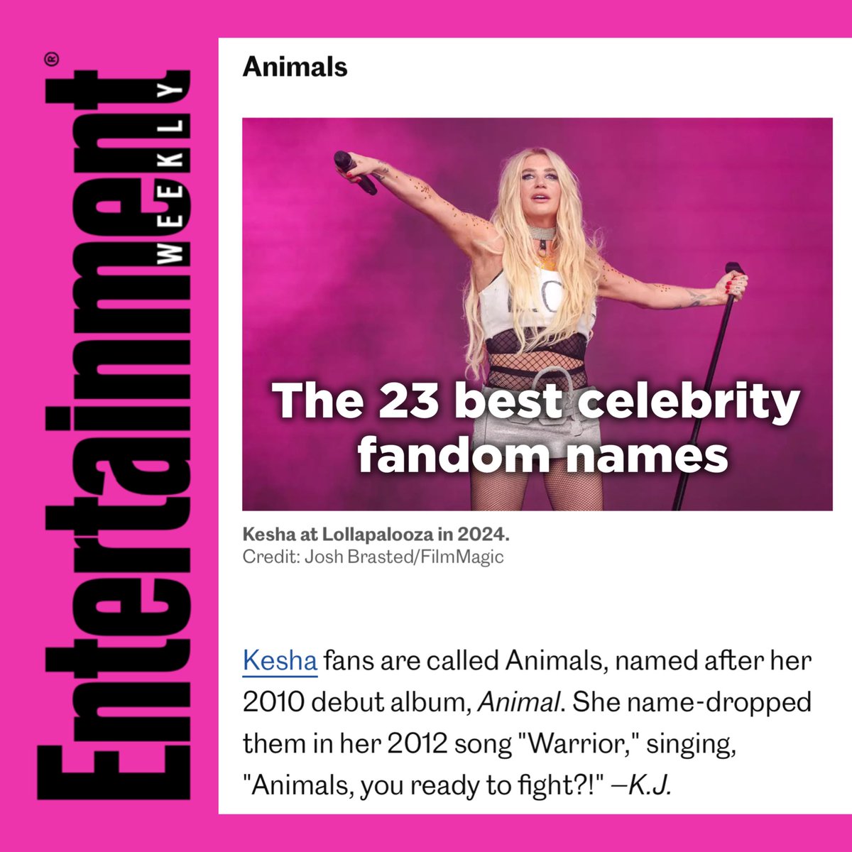 Celebrity Fan Base Names 60 Photos - Moonagedaydream.film