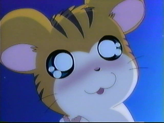 Maxwell Hamtaro Hamtaro・ハム太郎・25th Anniversary On X: "Sandy
