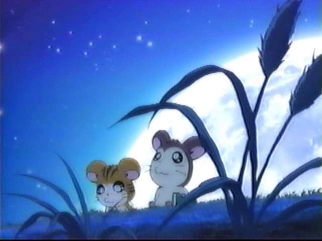 Hamtaro Maxwell Y Sandy Hamtaro・ハム太郎・25th Anniversary