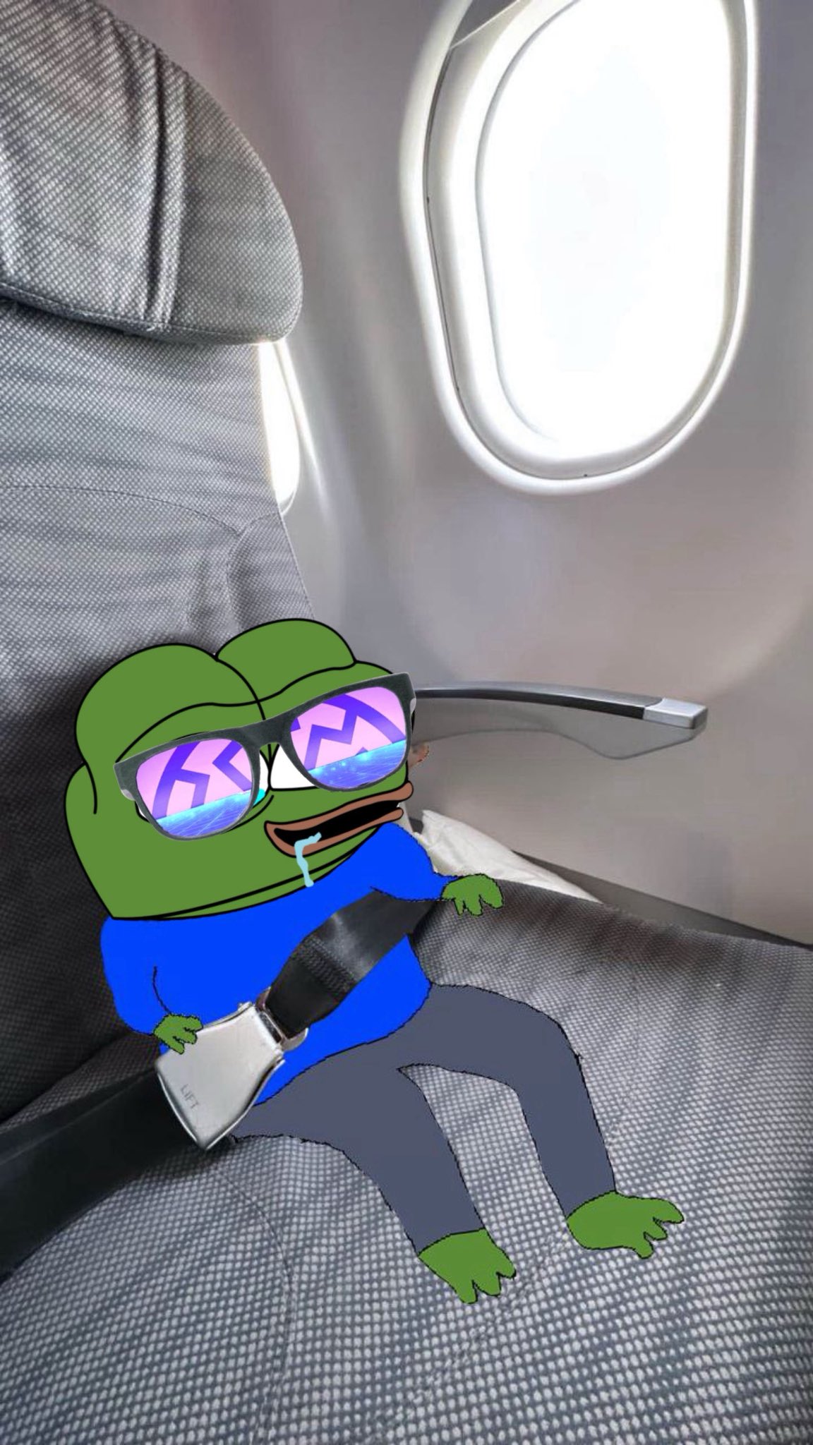 Pepe Plane Memes