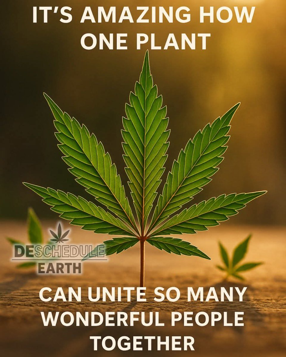 Weed Herb Quotes
