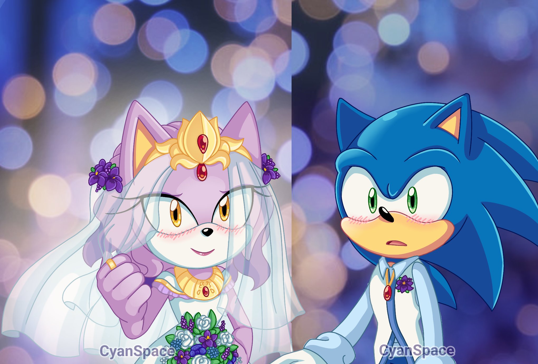 Blaze The Cat And Silver The Hedgehog Wedding