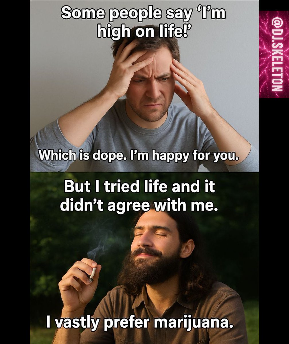 Stoner Madra Meme Stoner Memes : R/Funnymemes