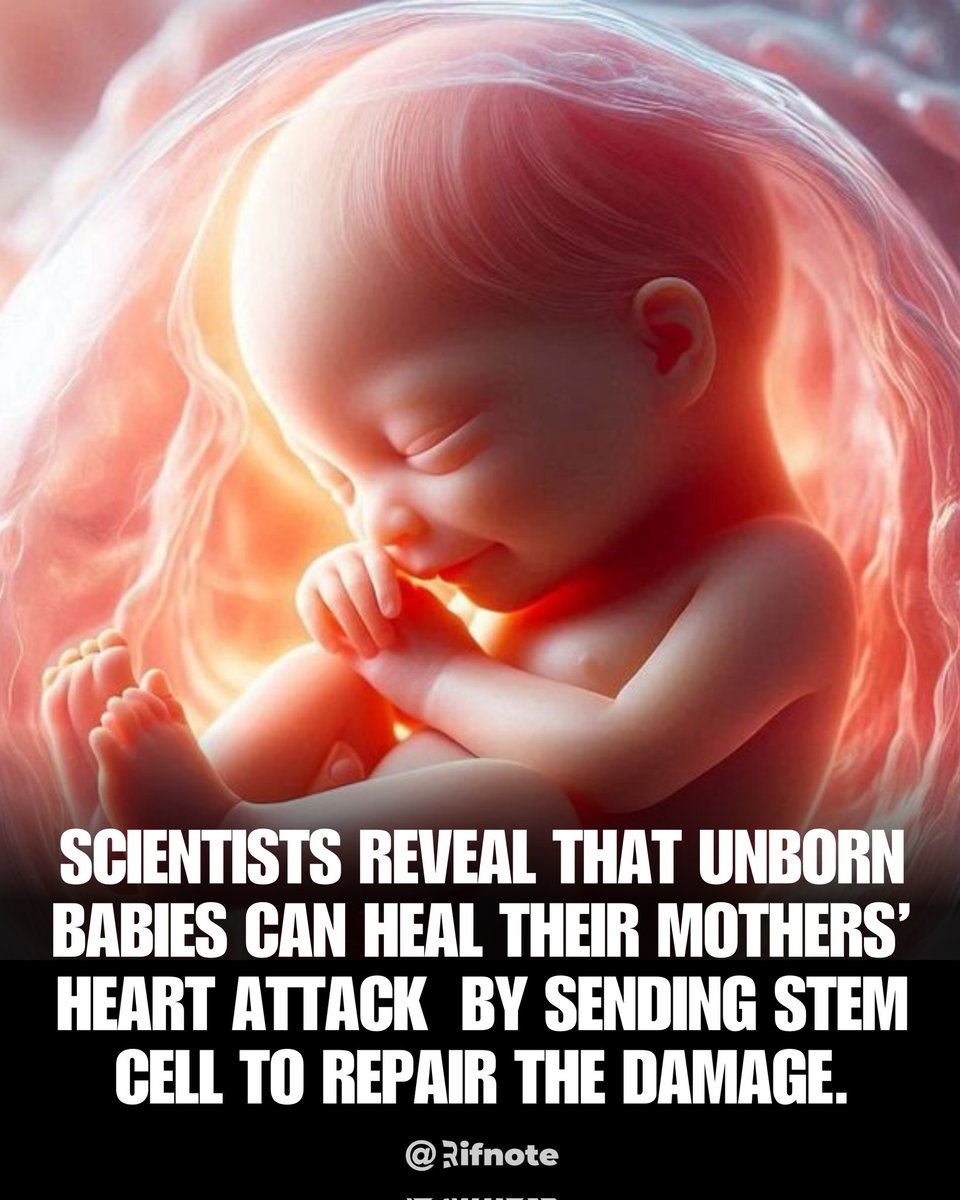 The Miracle of Maternal Connection: How a Fetus Sends Stem Cells to ...