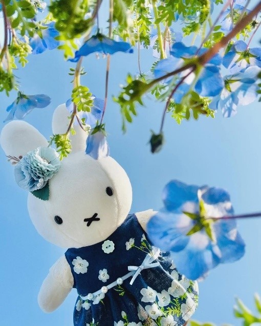Miffy @Miffy_UK X Profile | Muskviewer
