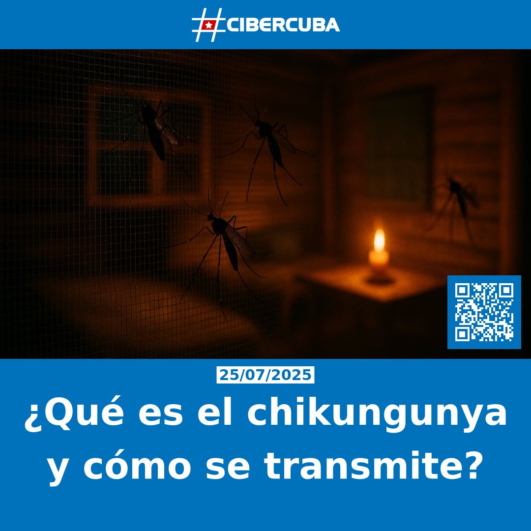 Memes Sobre El Chikungunya