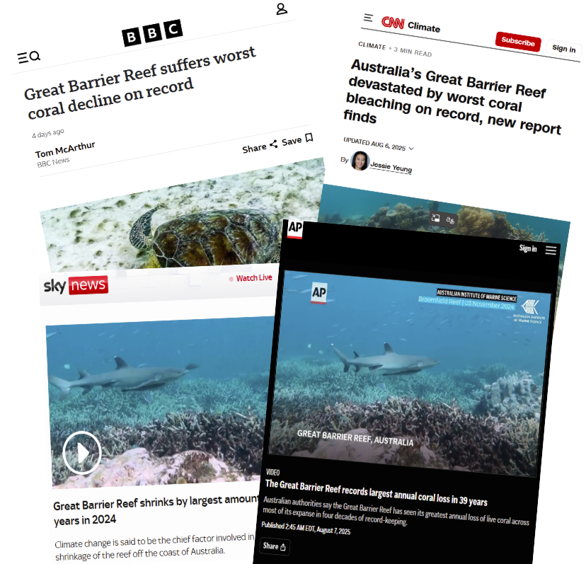 Coral Bleaching Bbc