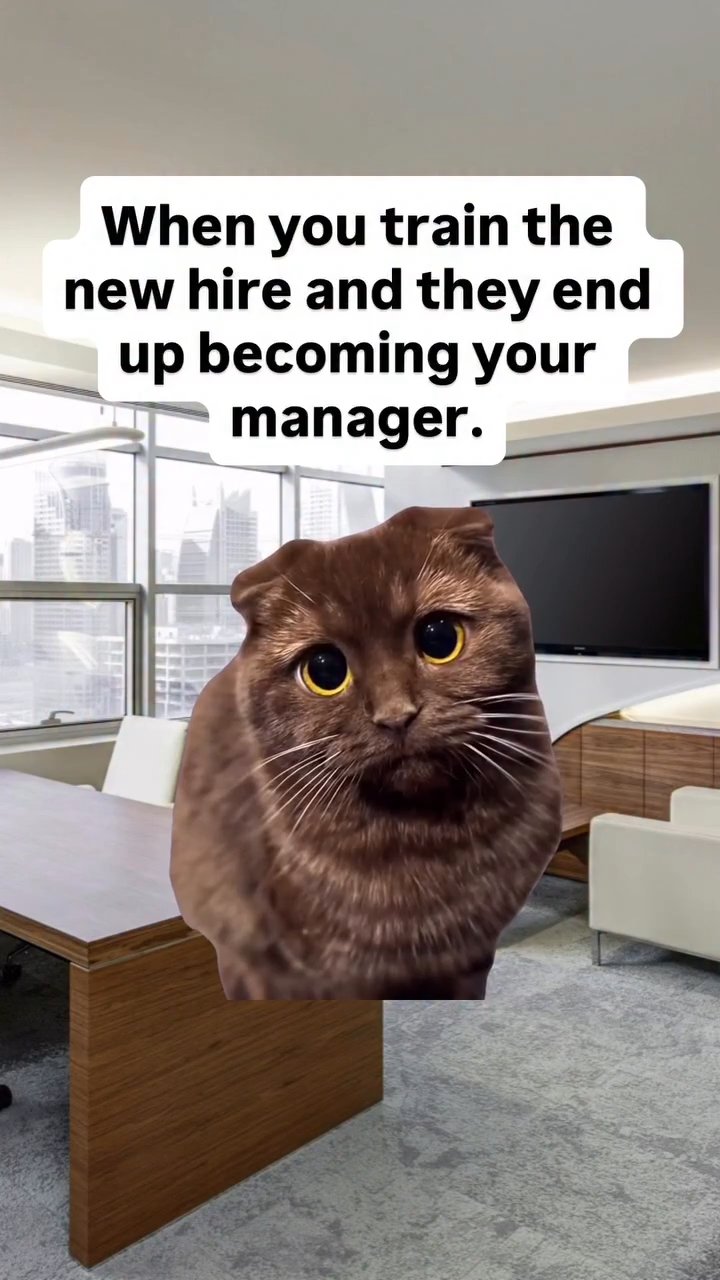 Train Cat Memes