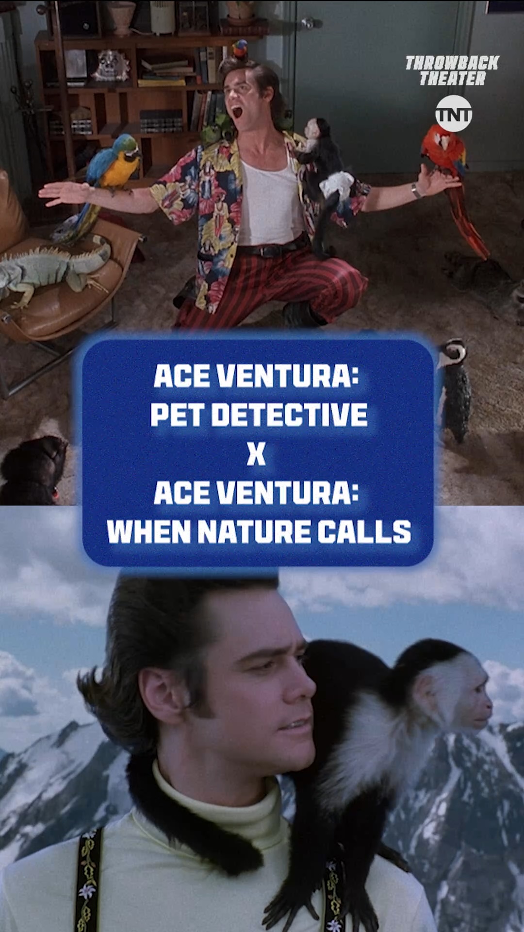 Ace Ventura Pet Detective Meme