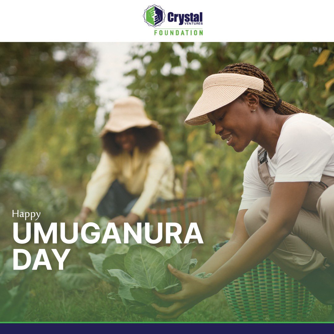 Crystal Ventures Foundation (@foundation_cvl) / Posts / X