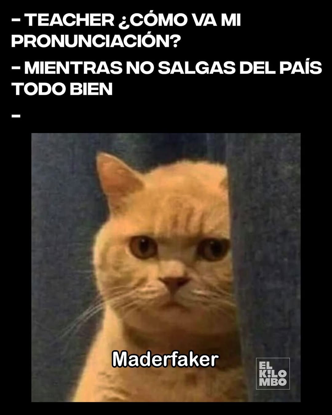 Buen Meme De Gato GatosCool على X: "#memesdegatoscool