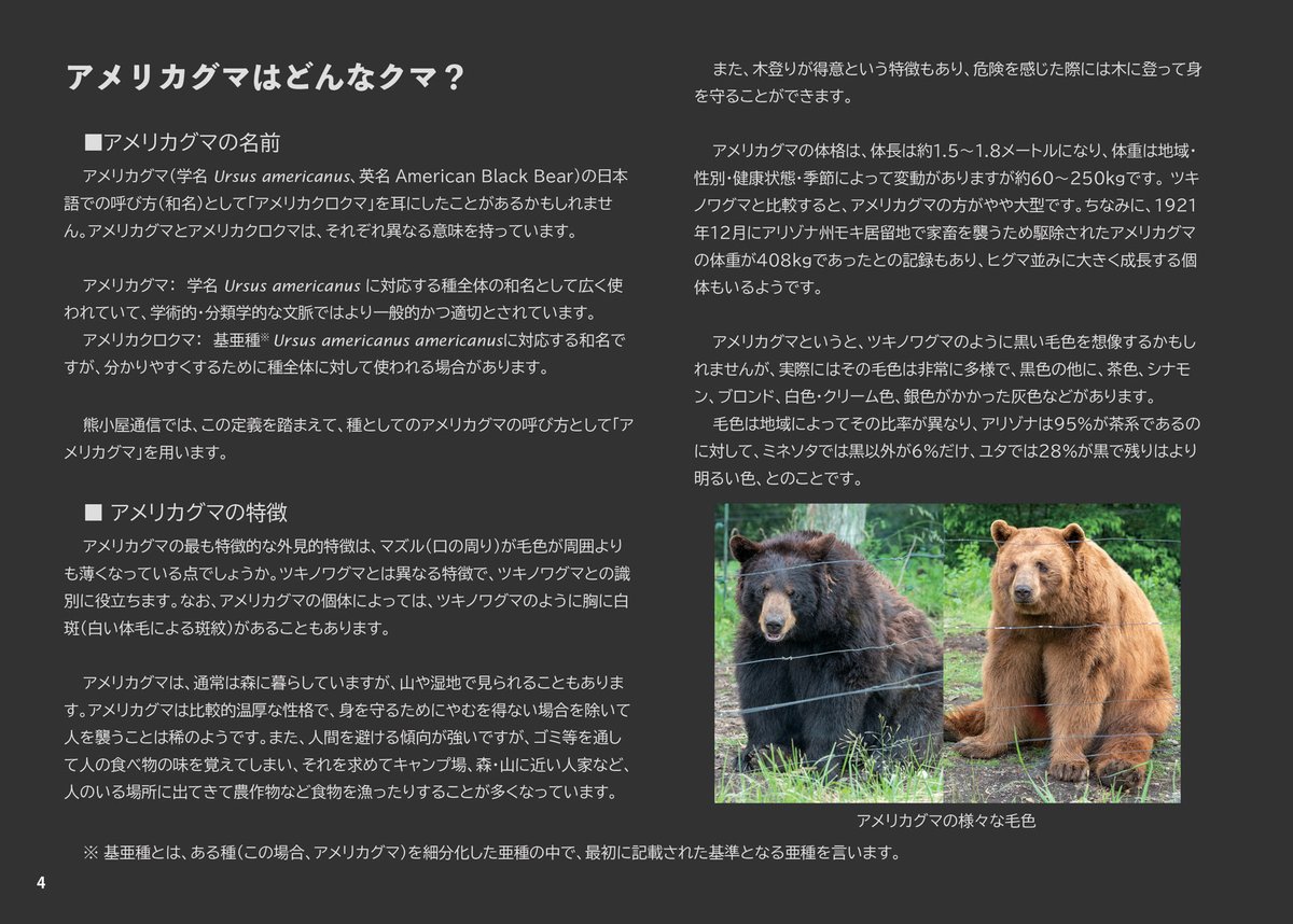 のぶクマ🐻羆と香辛料🐻C106 日曜日 東6 “ク”－37b(@kumar0001) - Twilog (ツイログ)