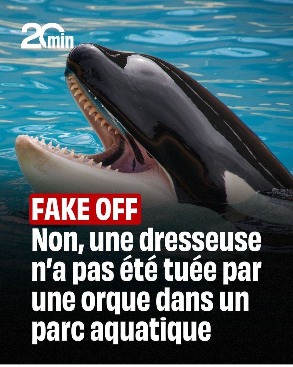 Faux Orque