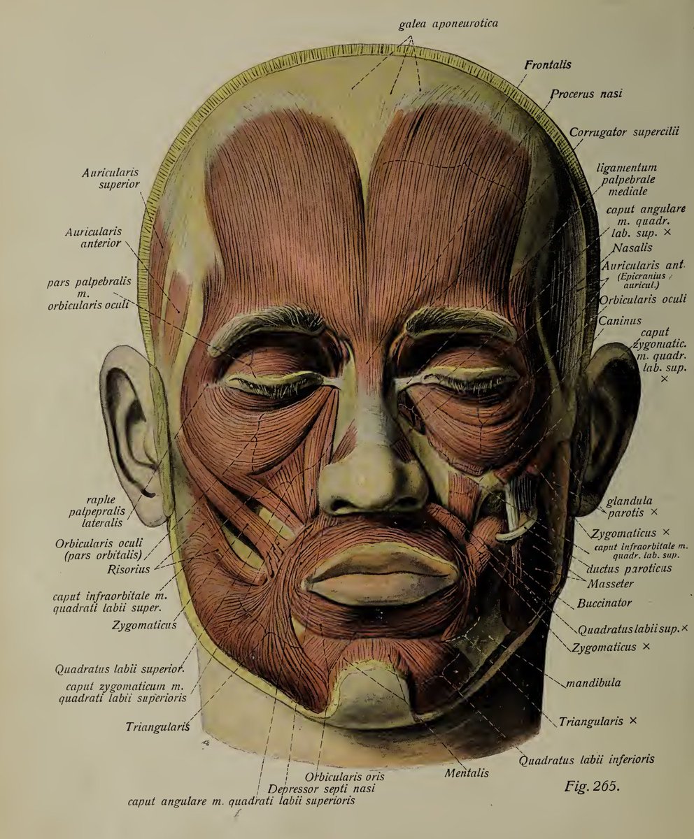 CO2 + T3 + B1's Threads – Thread Reader App