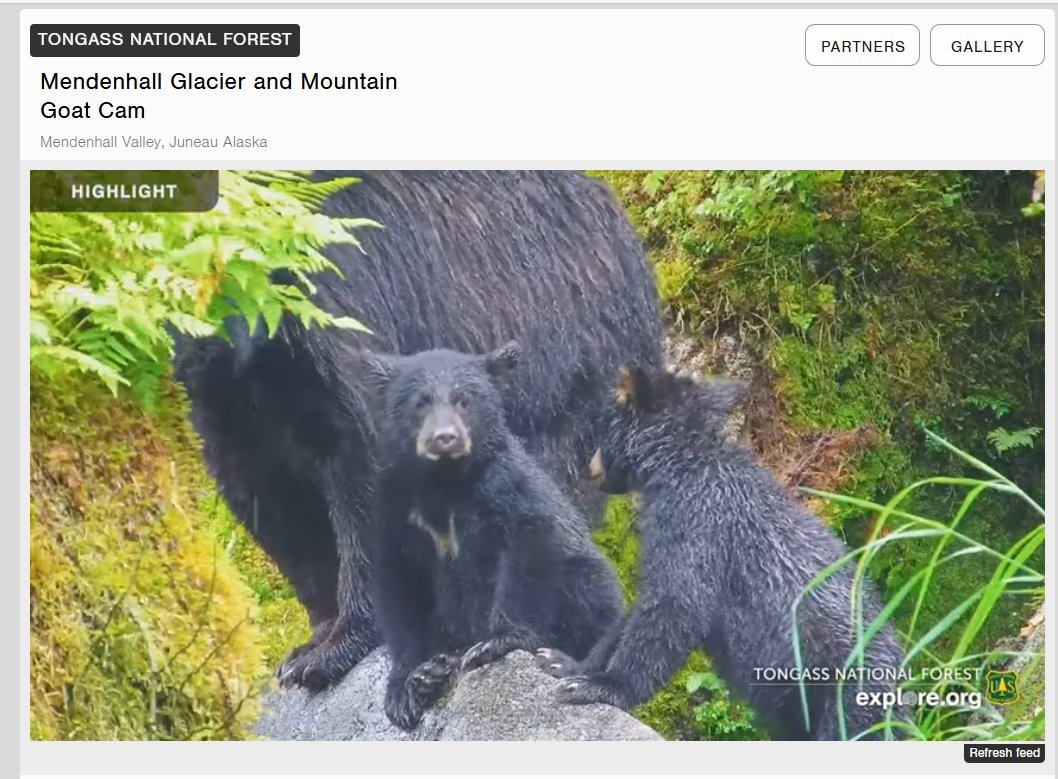 のぶクマ🐻羆と香辛料🐻C106 日曜日 東6 “ク”－37b(@kumar0001) - Twilog (ツイログ)