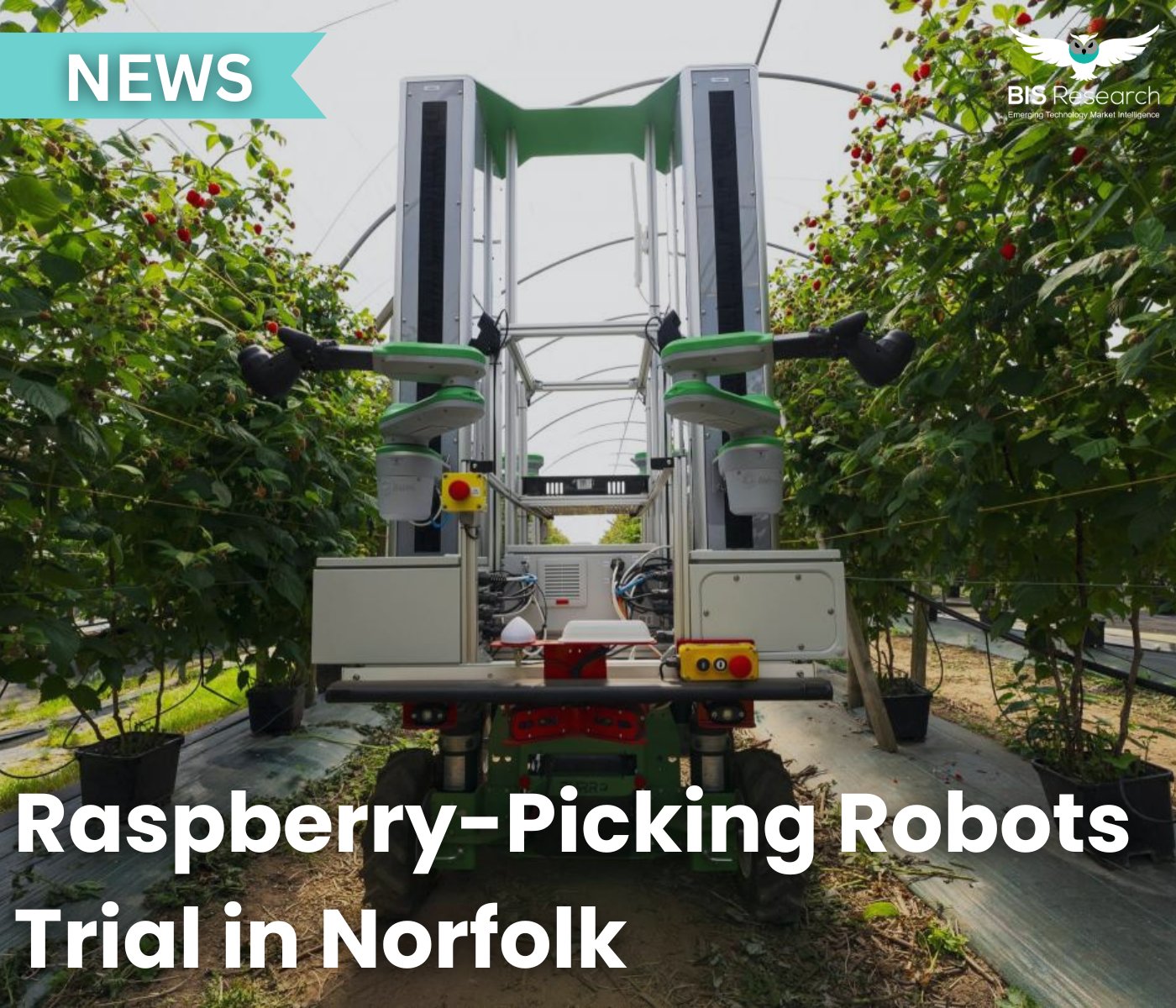 Raspberry Picking Machine