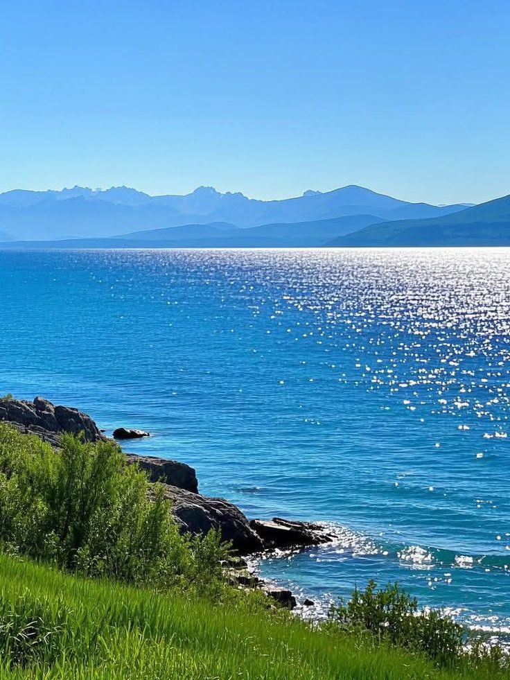 Nuria ~👠~ @Nuri_lo_ X Profile | Muskviewer