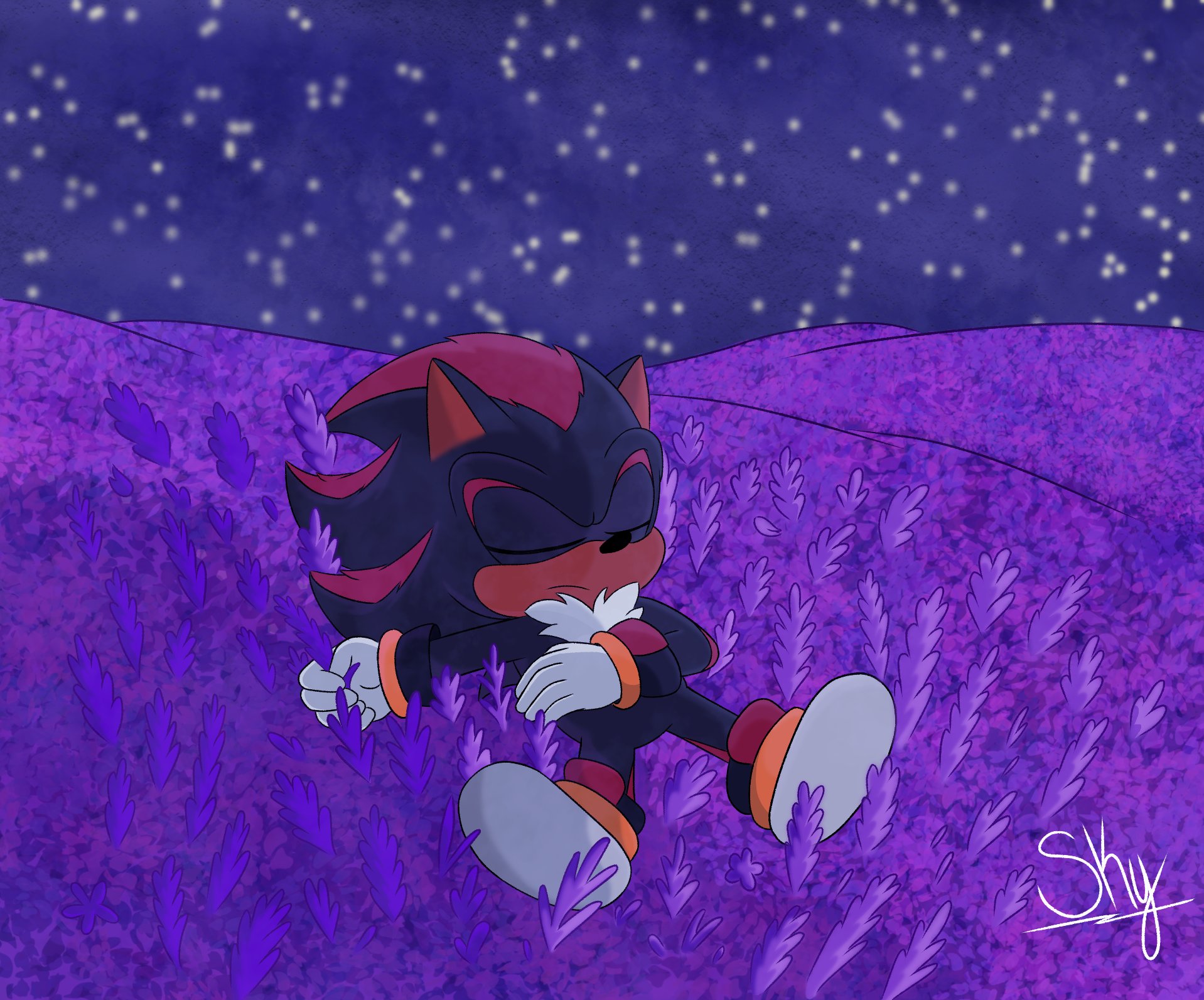Shadow The Hedgehog Sleeping