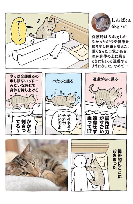 3/6 | AKR｜7巻でたよ さんのマンガ | ツイコミ(仮)