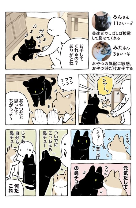 4/6 | AKR｜7巻でたよ さんのマンガ | ツイコミ(仮)