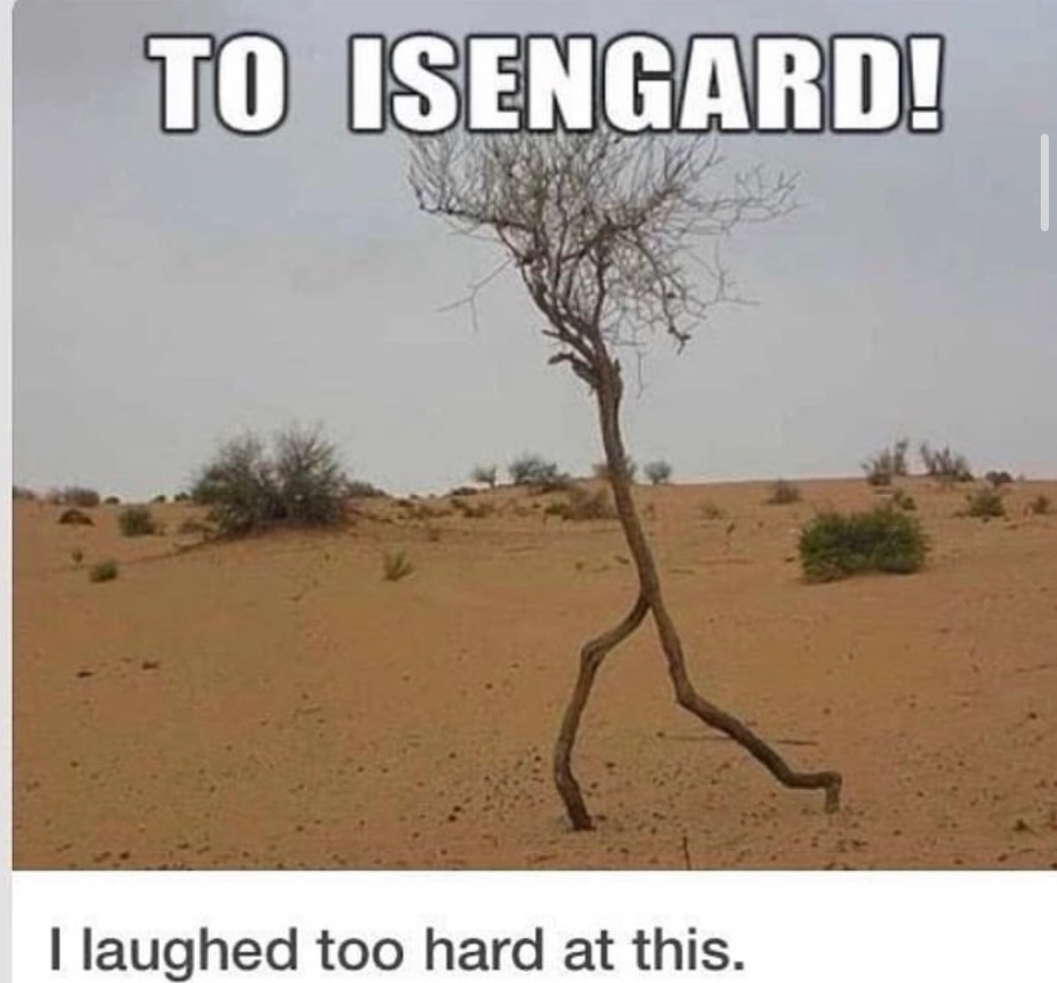 Desert Run Memes