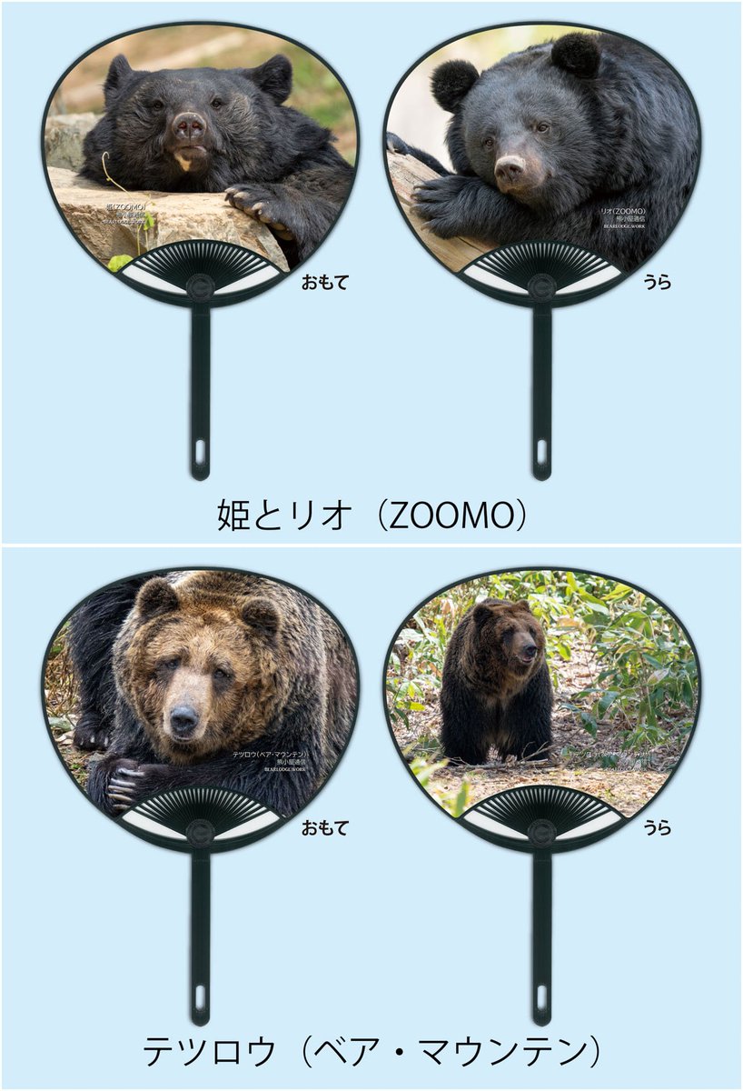 のぶクマ🐻羆と香辛料🐻C106 日曜日 東6 “ク”－37b(@kumar0001) - Twilog (ツイログ)