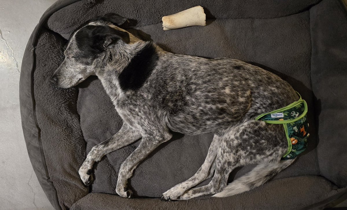 La Boda De Zach Buchanan