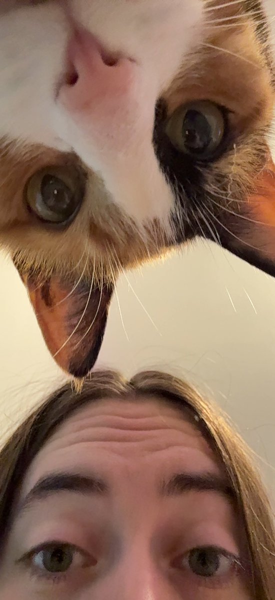 momo (@momoseventh) / Posts / X