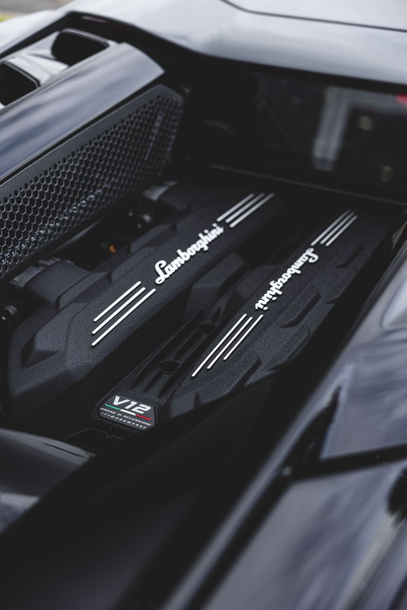 Lamborghini Troy (@LamborghiniTroy) / Posts / X