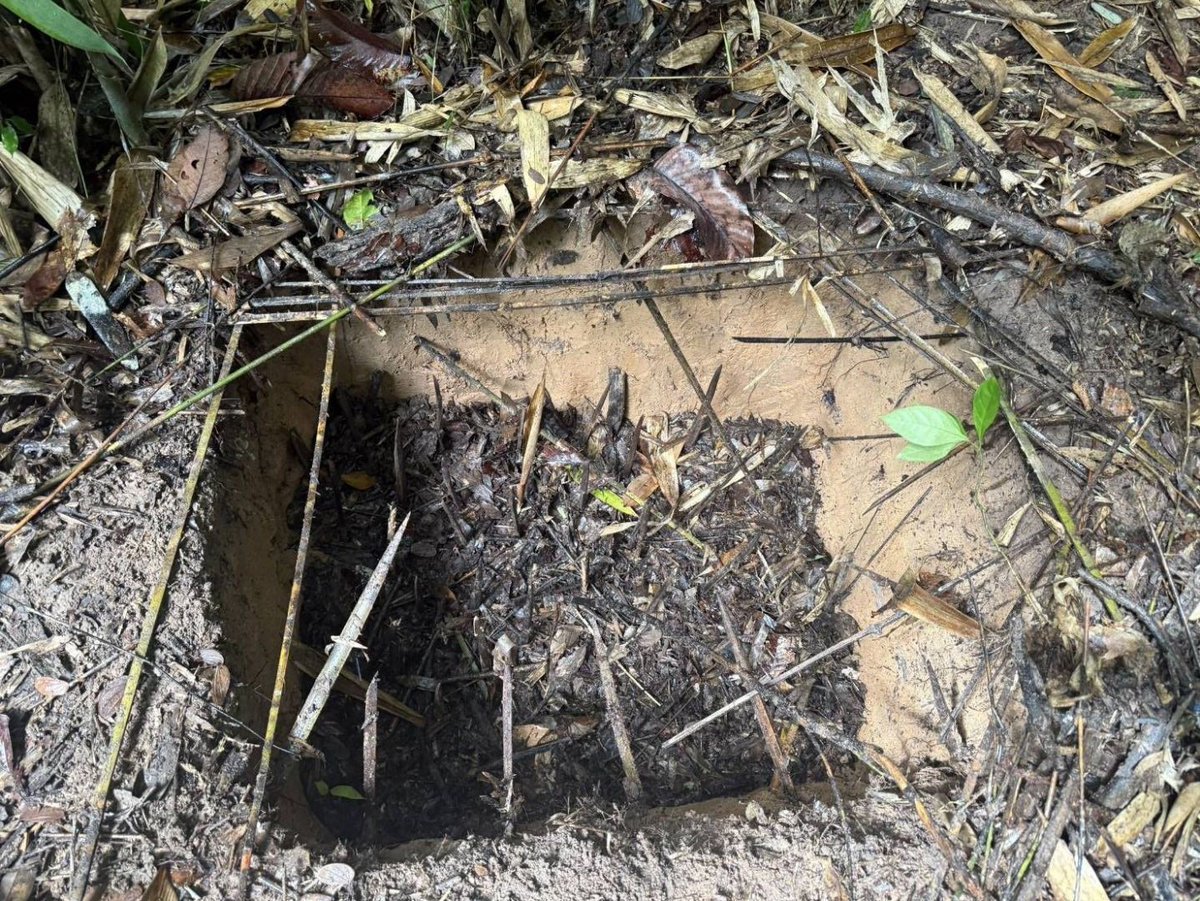 Punji Trap Vietnam War