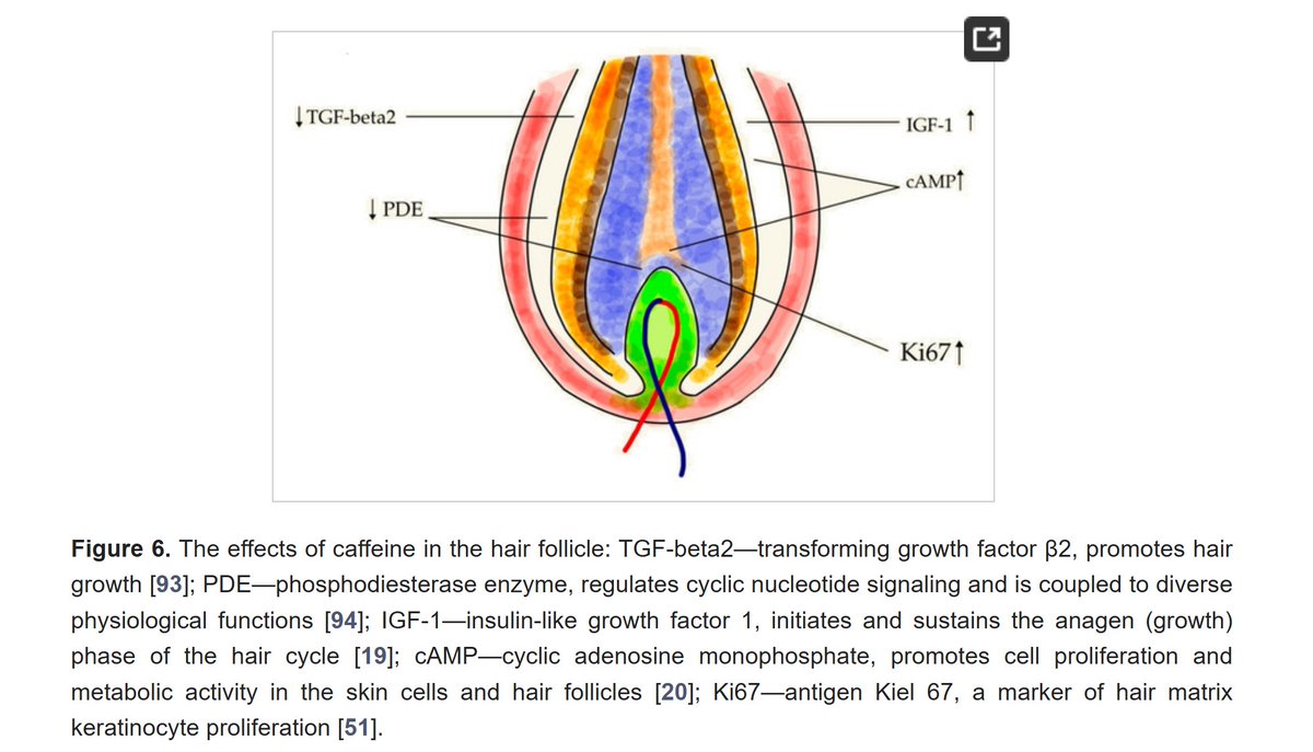 CO2 + T3 + B1's Threads – Thread Reader App
