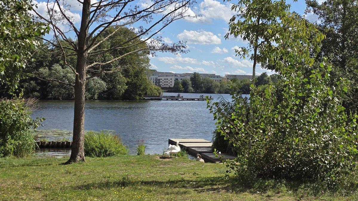 CrisHeroes @CrisHeroes X Profile | Muskviewer