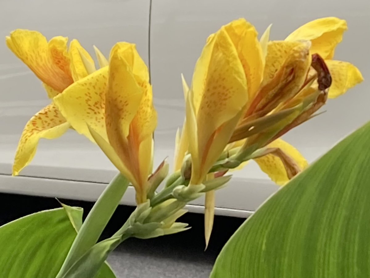 takum kojima(@takum) - Twilog (ツイログ)