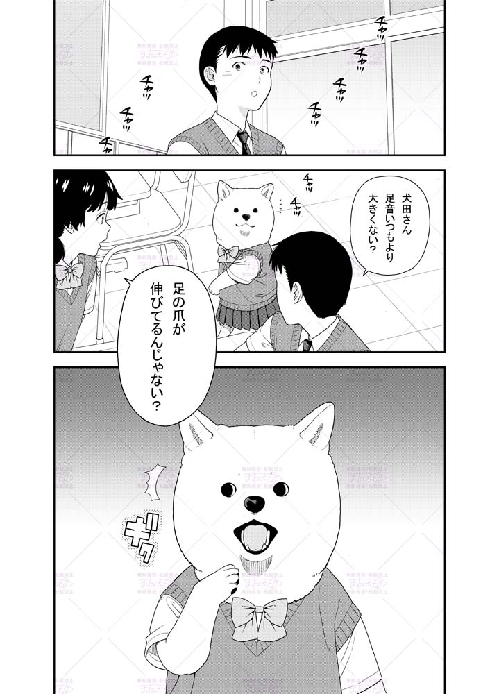 「通り道にちょっと苦手な男子がいる美少女の漫画です (1/2) #犬田さん漫画 」犬田さんの漫画