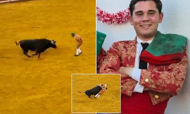 😱A 22-year-old bullfighter, Manuel Maria Trindade, died during a ...
