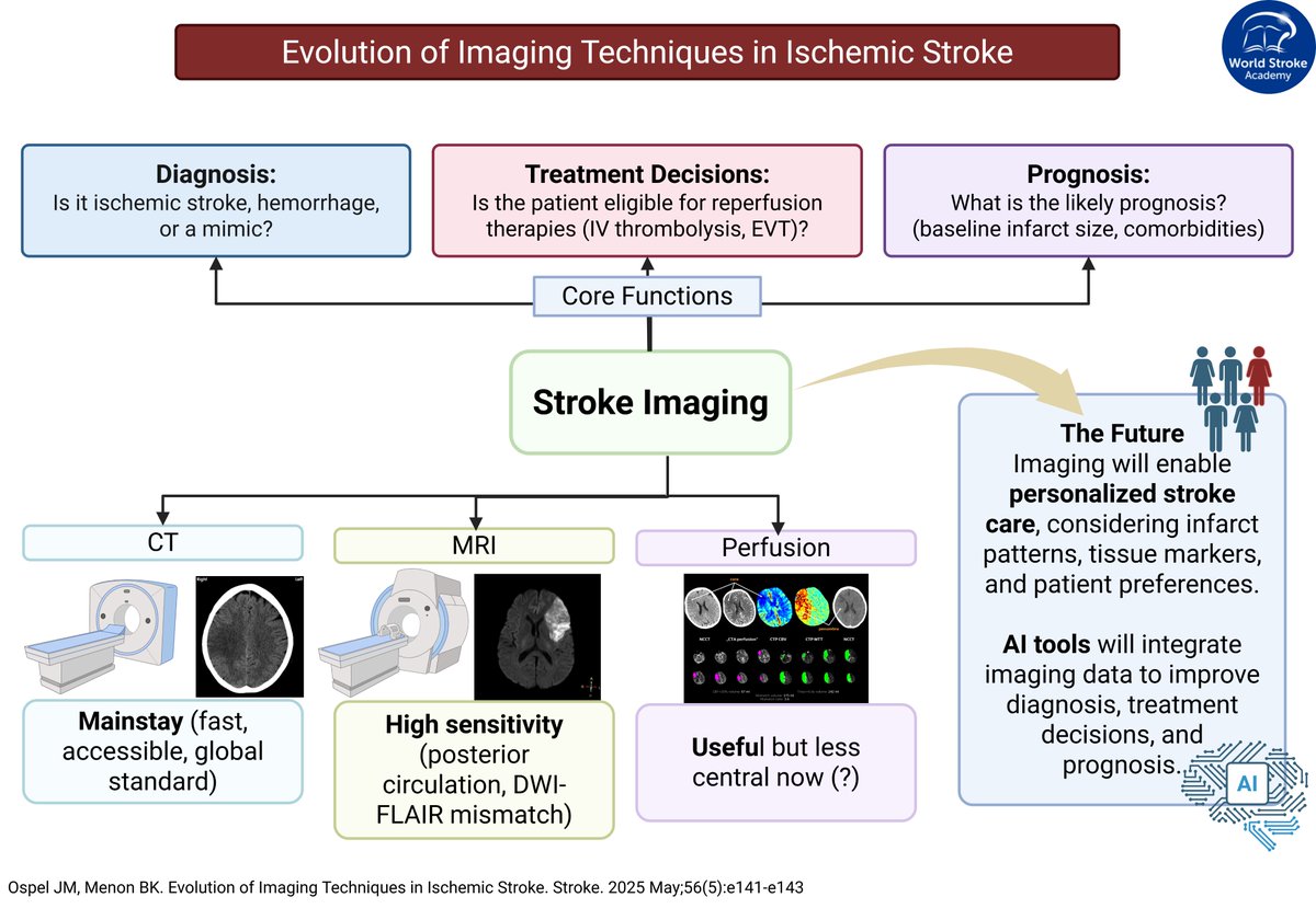 International Stroke Conference (ISC) 2025 Highlights: Joint Roundtable ...